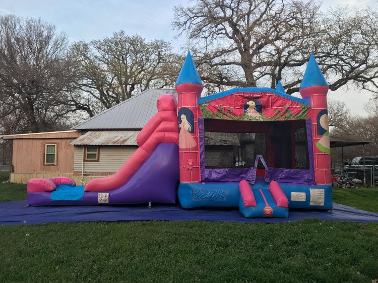 Bounce House Combos - Bouncing Geckos Party Renatals LLC Santo TX